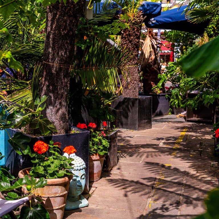 About Café Nucleus Chatham | Award-Winning Brunch & Garden Dining