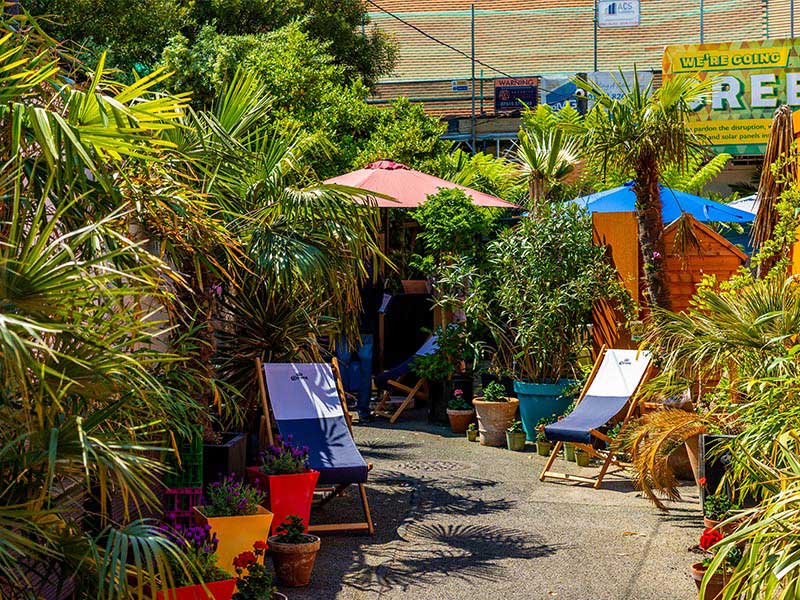 Café Nucleus Chatham – Tropical Oasis, Afternoon Teas